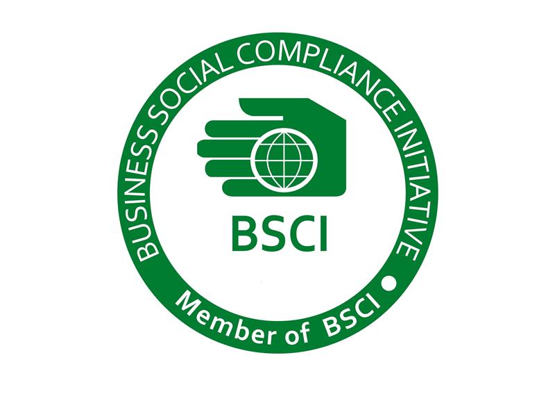 BSCI